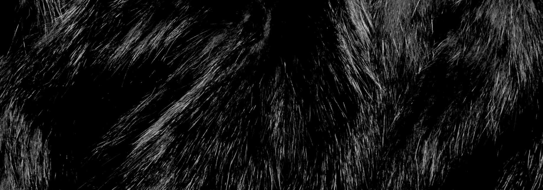 real-dark-fur - Thalia Furs